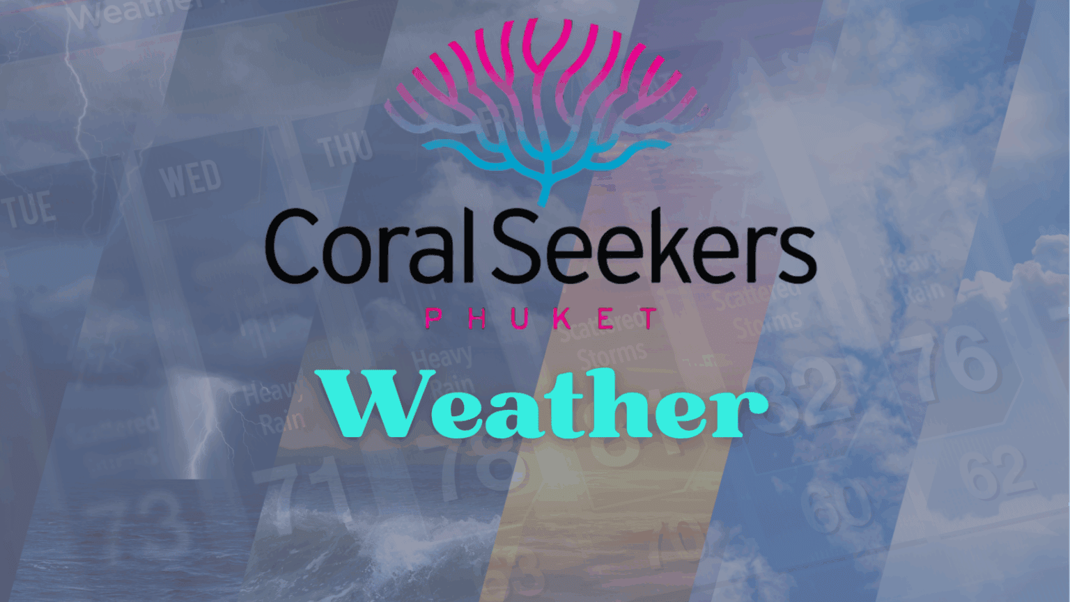 Phuket Weather Radar 2025 Coral Seekers phuket-weather-radar-2025-coral-seekers